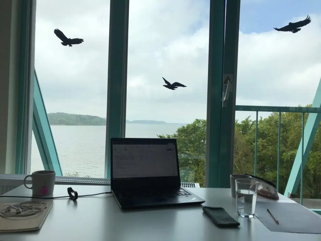 Project Bay: Workation auf der Insel? Wir haben es ausprobiert! - Neuland21